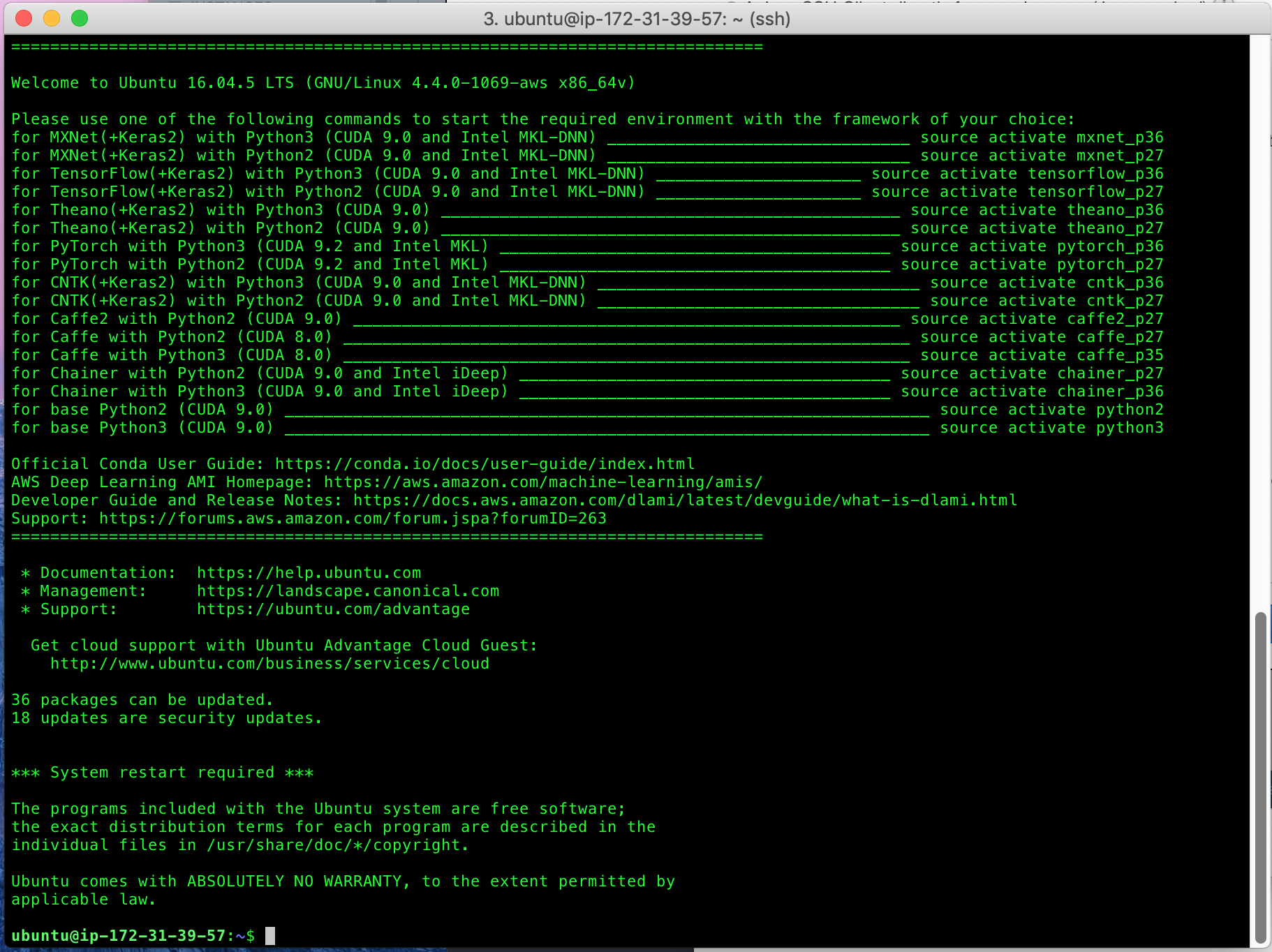 CS4518 Android Application Deep Inference Tutorial