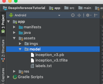 CS4518 Android Application Deep Inference Tutorial